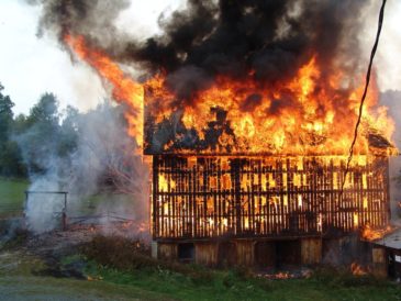 Steel Metal Barn Construction is Saving Lives | Elephant Barns